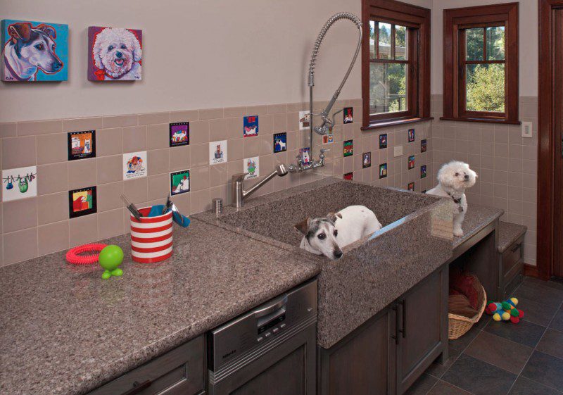 23 Sweet Dog Shower Ideas & Pet Washing Stations | Sebring Design Build