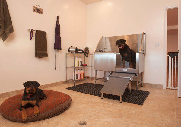 23 Sweet Dog Shower Ideas & Pet Washing Stations | Sebring Design Build