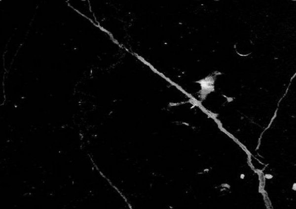 A Beginner’s Guide To The Different Types of Marble | Sebring Design Build