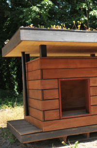 25 Custom Dog House Decor Ideas | Sebring Design Build