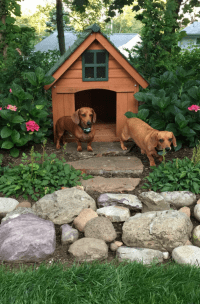 25 Custom Dog House Decor Ideas | Sebring Design Build