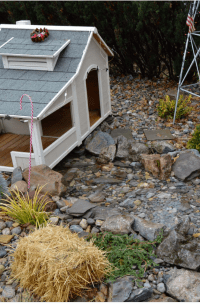 25 Custom Dog House Decor Ideas | Sebring Design Build