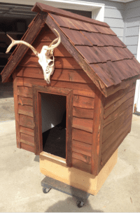 25 Custom Dog House Decor Ideas | Sebring Design Build