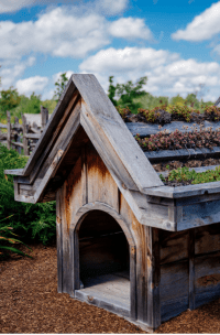 25 Custom Dog House Decor Ideas | Sebring Design Build
