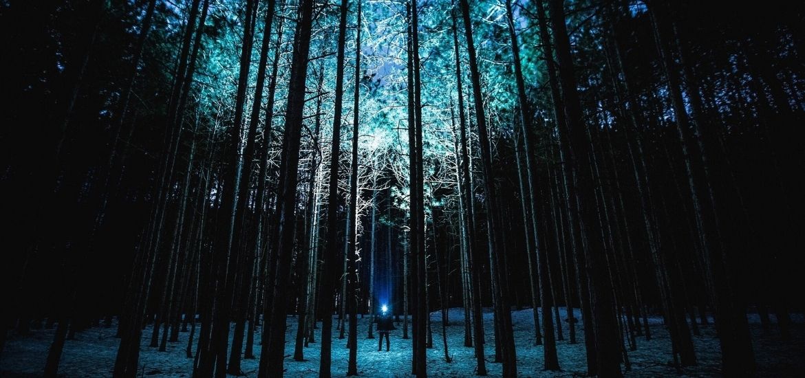 7 Best Handheld LED Spotlight [2025 Reviews] | Sebring Design Build